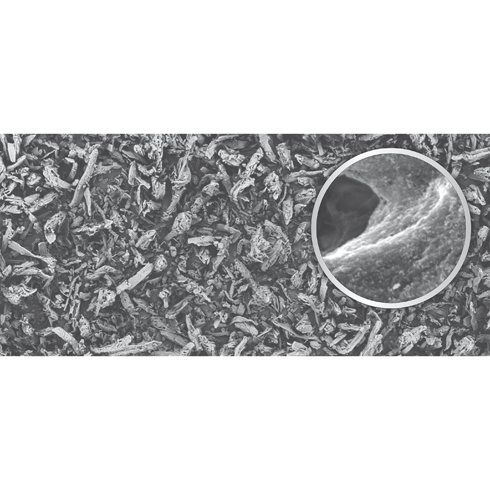 Pharma Excipients Awards 2025 - 世界制药原料中国展 CPHI China